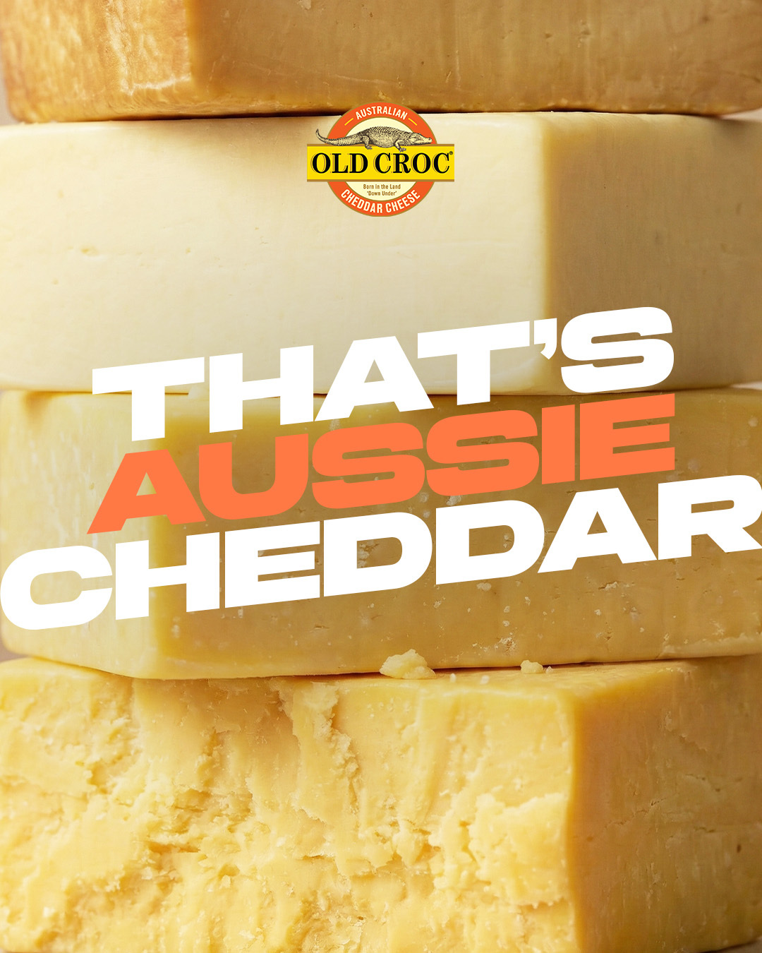 Old Croc Cheese - Australia Grass Fed Cheddar Cheese